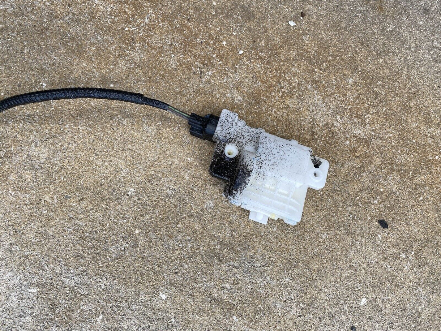 2017-2022 Ford Super Duty OEM F250 F350 Tailgate Backup Camera Wiring ...